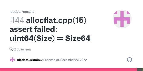 Allocflatcpp15 Assert Failed Uint64size Size64 · Issue 44