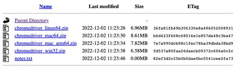 Unable To Download Chromedriver For Insiders Version Of Vs Code · Issue