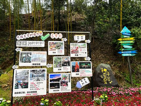 袁梦村 闽西深山的孤村有禾下乘凉梦有竹林清溪欢 行客旅游网