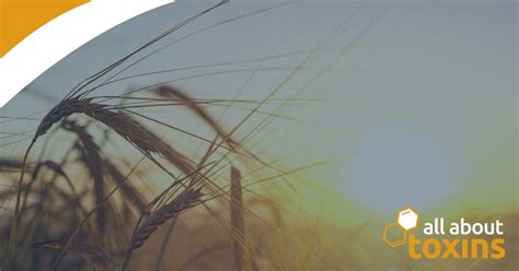 Manuel Melo On Linkedin The Pitfalls Of Mycotoxin Identification All About Toxins