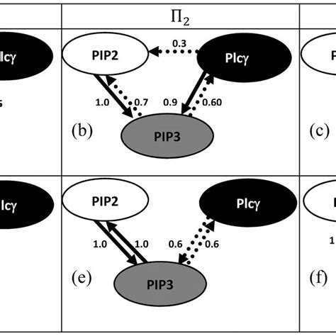Bayesian Networks Inferred Using Grow Shrink Algorithm From The Download Scientific Diagram