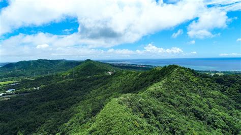 「やんばる」ってどんなところ｜世界遺産登録で注目を集める沖縄本島北部を知ろう① オリオンストーリー