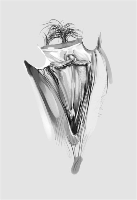 Vagina 01 By Massdrv Hentai Foundry