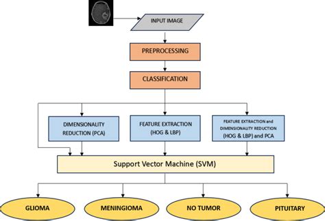 Schematic Diagram Illustrating The Categorization Process Download Scientific Diagram