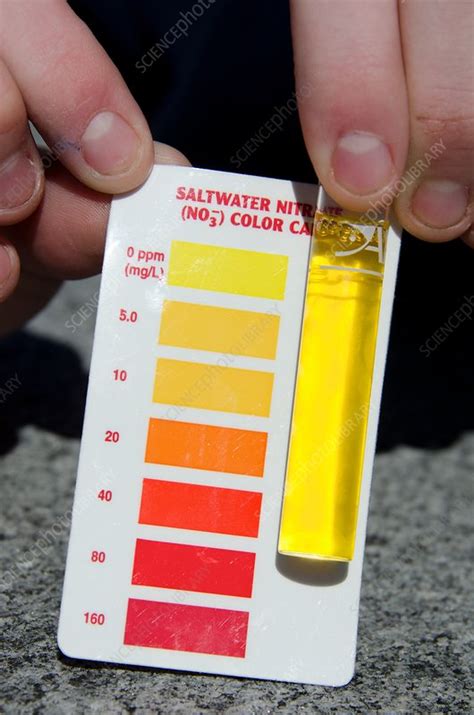 Water Sample With Nitrate Colour Chart Stock Image C0274170