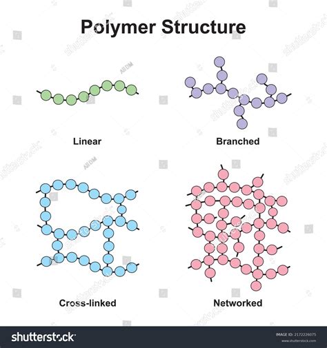 Scientific Designing Polymer Structure Classification Polymer Stok Vektör Telifsiz 2172226075