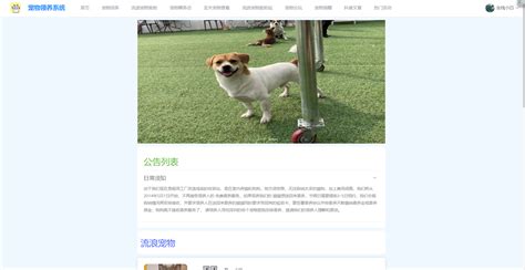 基于spring Bootvue的宠物领养系统 Csdn博客