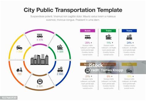 Infographic 화려한 원형 차트 아이콘 및 콘텐츠를 위한 장소 도시 대 중 교통 통계 개념에 대한 스톡 벡터 아트 및 기타 이미지 Istock