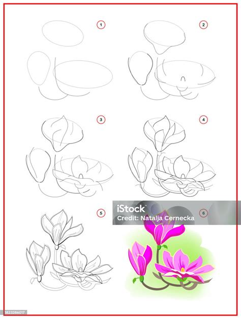 페이지는 목련의 꽃을 단계별로 그리는 방법을 배우는 방법을 보여줍니다 아이들의 그림 그리기와 색칠 기술 개발 어린이 학교 연습장을 위한 인쇄 가능한 워크시트 평면 벡터