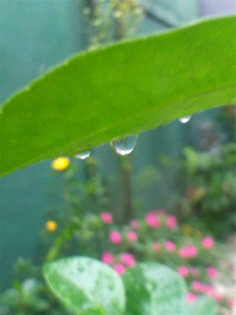 Raja On Medium Curated Some Lists