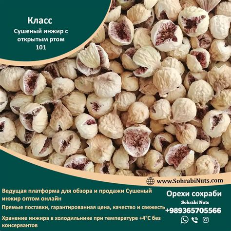 Купить сушеный инжир Оптовая цена иранского сушеного инжира Свежие и органические продукты