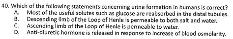 Solved 40 Which Of The Following Statements Concerning Urine Formation In Humans Is Correct A