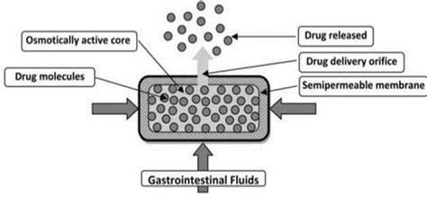Osmotic Controlled Release Oral Delivery System An Overview