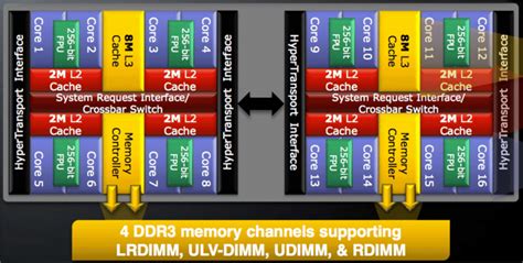 AMD Opteron Series Processor Architecture Download Scientific Diagram