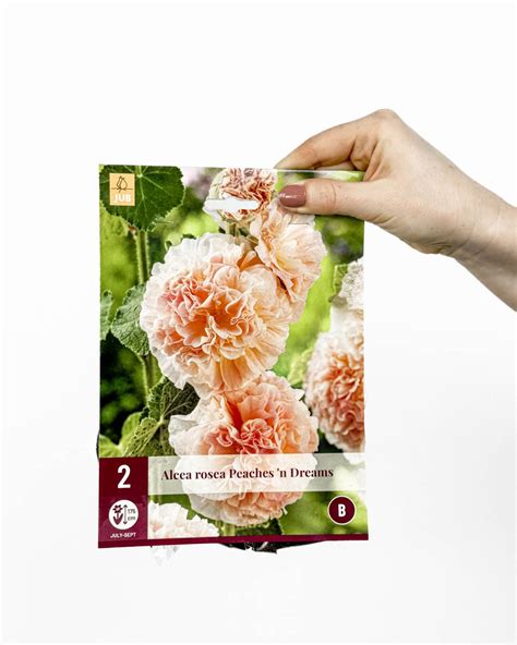 Gomolj Vrtni Sljez ‘peachesn Dreams Alcea Rosea Džungla Plants