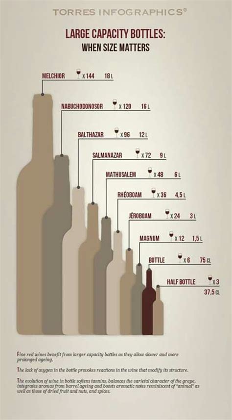 Бутылки разного размера и количество бокалов в них | Carteles de vino ...