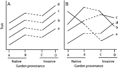 Trait Response Of Plants Of Different Provenance Planted In Different Download Scientific