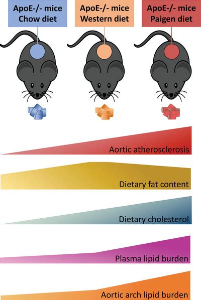 Molecular Nutrition And Food Research Vol 67 No 2