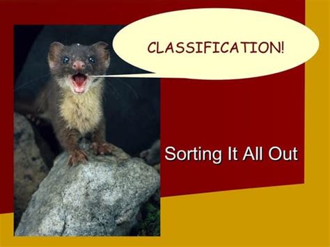 Levels Of Classification 2010 Ppt