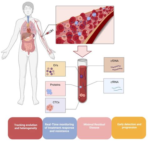 Cancers Special Issue Dna Methylation Markers In Liquid Biopsies