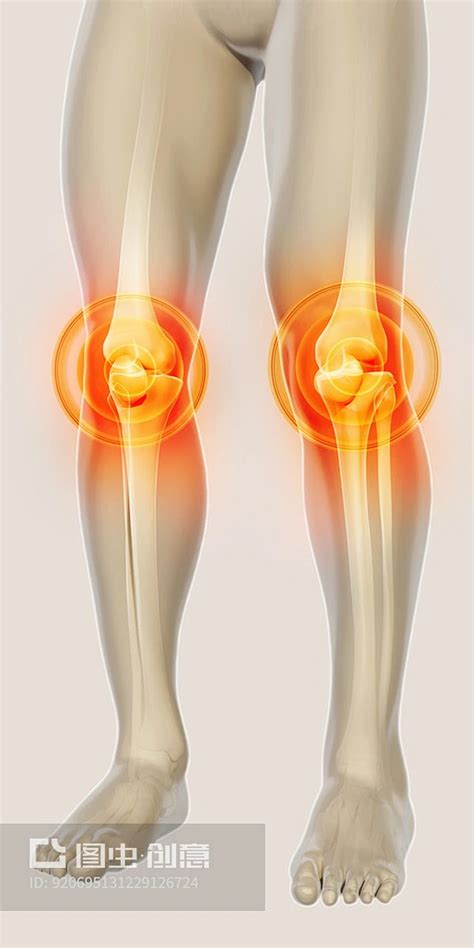 搜索结果 图虫创意 全球领先正版素材库 Adobe Stock中国区战略合作伙伴 花瓣网