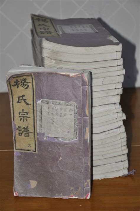 诸暨倪杨氏图册 360百科