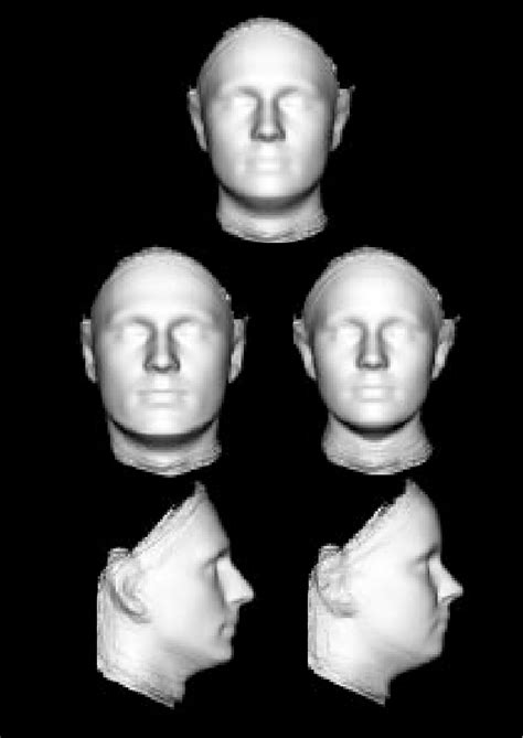 Figure 1 From The Role Of Shape And Texture Information In Sex