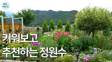 정원수 추천 교목 Part 1 정원나무 정할 때 고려할 점겹벚꽃 나무정원수로좋은나무정원수 꽃나무정원수 가꾸기정원나무 추천정원나무심기 Youtube