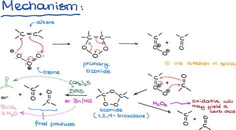 Ozonolysis Of Alkenes — Organic Chemistry Tutor