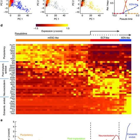 pseudo temporal ordering of scrb seq data revealed gene expression