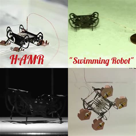 Hamr Harvards Ambulatory Microrobot Swimming Robot Rishi Upsc