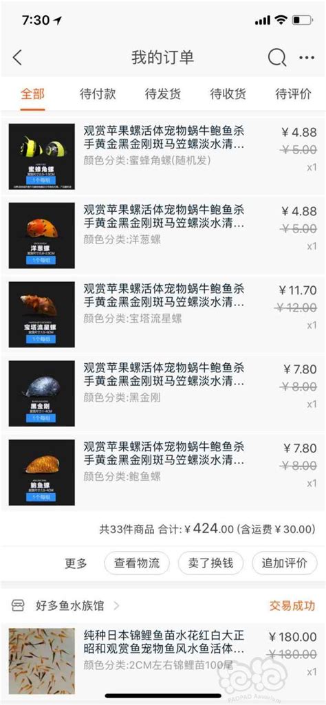 新人发帖升级 泡泡水族