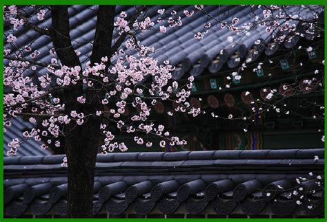 Structure Of Iconlab InterCode