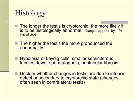 Ppt Testicular Descent And Ascent A Matter Of Timing Powerpoint Presentation Id 1407363
