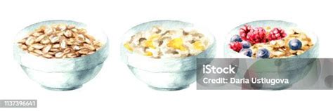 건강 한 아침 식사 귀리 플레이크 귀리 포 리 게 그리고 라즈베리와 블루베리의 뮤 즐 리오 수채화 손으로 그린 그림 흰색 배경에 고립 수채화에 대한 스톡 벡터 아트 및 기타