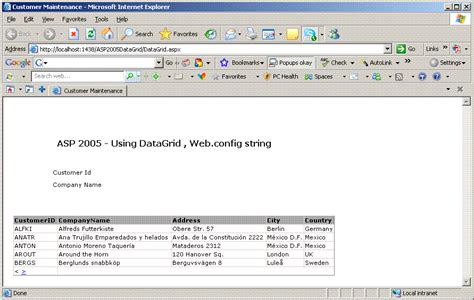 Select Row From Datagrid Control In Visual Web Developer 2005 Express