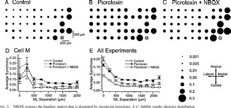 Figure 3 From Gabaergic And Glutamatergic Modulation Of Spontaneous And Motor Cortex Evoked