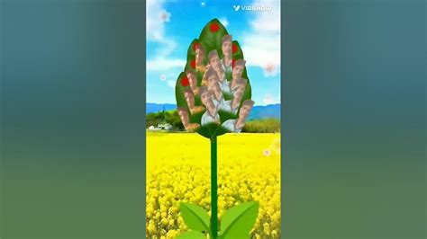 Virlshortsvideo Youtube