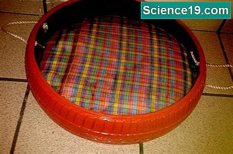 Cómo limpiar un fósil con vinagre Portal Multimedia Científica Y