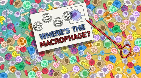 What Is Spatial Transcriptomics Wellcome Sanger Institute Blog