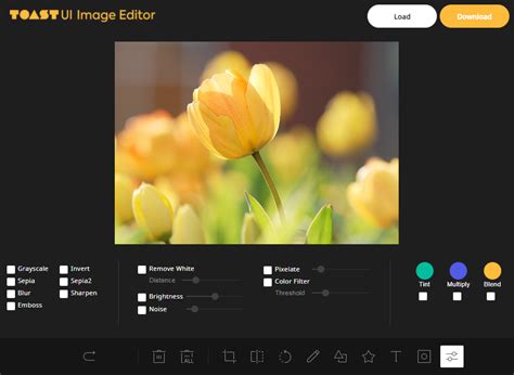 The Froala Editor Rich Text Editor Pro For Oracle Apex
