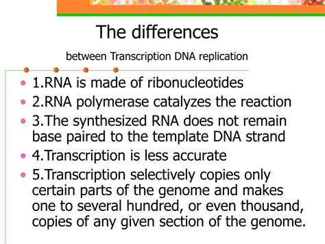 Ppt The Differences Between Transcription Dna Replication Powerpoint Presentation Id 6838287