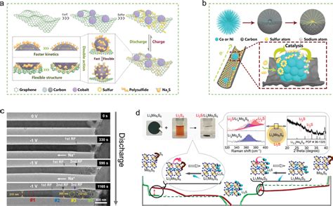 Of The Catalyzing The Full Conversion Of Sulfur A Schematic