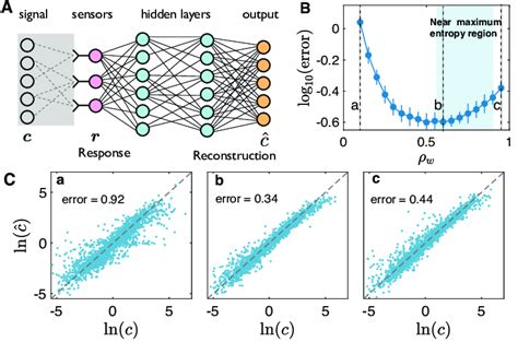 Maximum Entropy Coding Facilitates Signal Reconstruction A Download Scientific Diagram