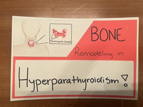 Bone Remodeling In Hyperparathyroidism Human Steam