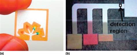 Examples Of Paper Microfluidics For Point Of Care Poc Diagnostics Download Scientific