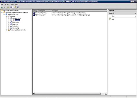 6 2 ibm tivoli flashcopy manager tsm configuration wizard tsm ibm tivoli storage manager