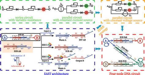 Programmable Molecular Signal Transmission Architecture And Reactant Regeneration Strategy