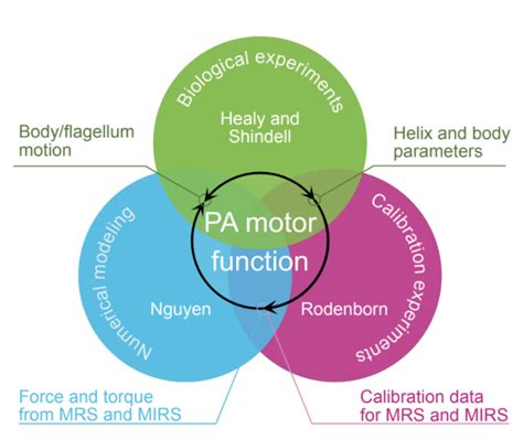 Trinity Centre Biophysical Fluid Dynamics Research Trinity University And Centre Colleges