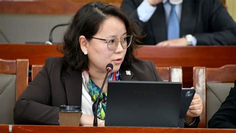 Нийгмийн ажилтнуудад нэг эрх зүйн орчин бүрдүүлж нэг үйлчилгээг олон талаас нь хамтарч үзүүлдэг